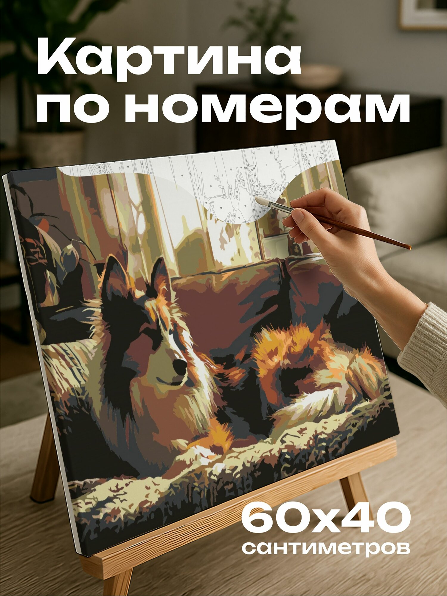 Картина по номерам 60x40 см, колли, мех, текстура, разрешение, гостиная, солнце, уют, детали
