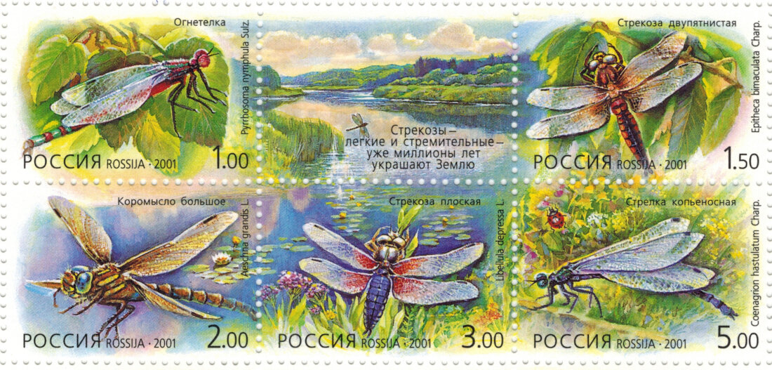 Марка. Россия. Стрекозы. 2001 год. Серия.