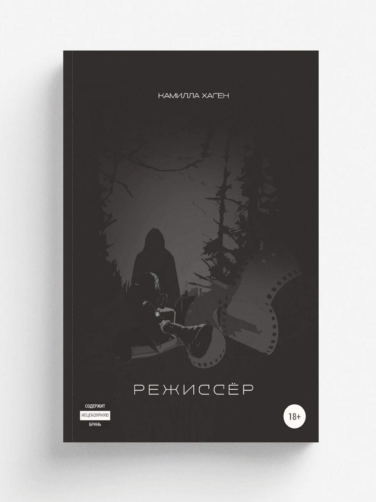 Режиссёр