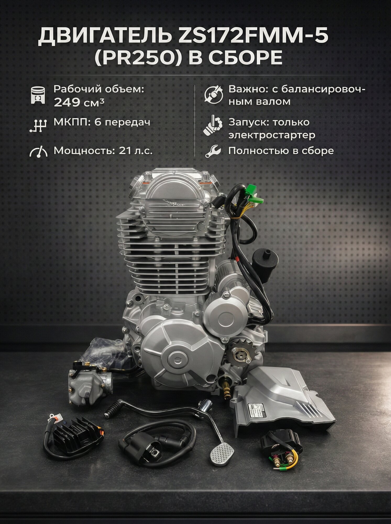 Двигатель ZS172FMM-5 (PR250) для эндуро, кроссового мотоцикла (6МКПП) в сборе
