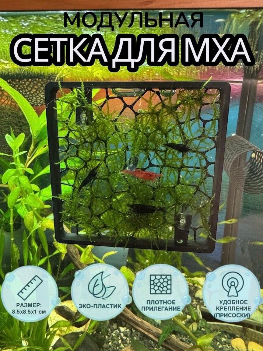 Сетка для мха и креветок в аквариум