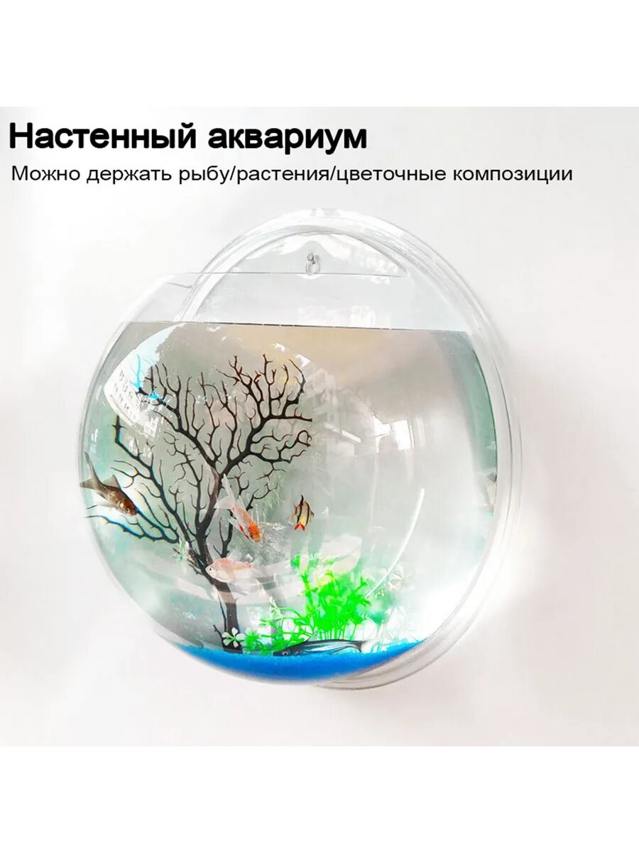 Аквариум с фильтрацией и акваскейпом