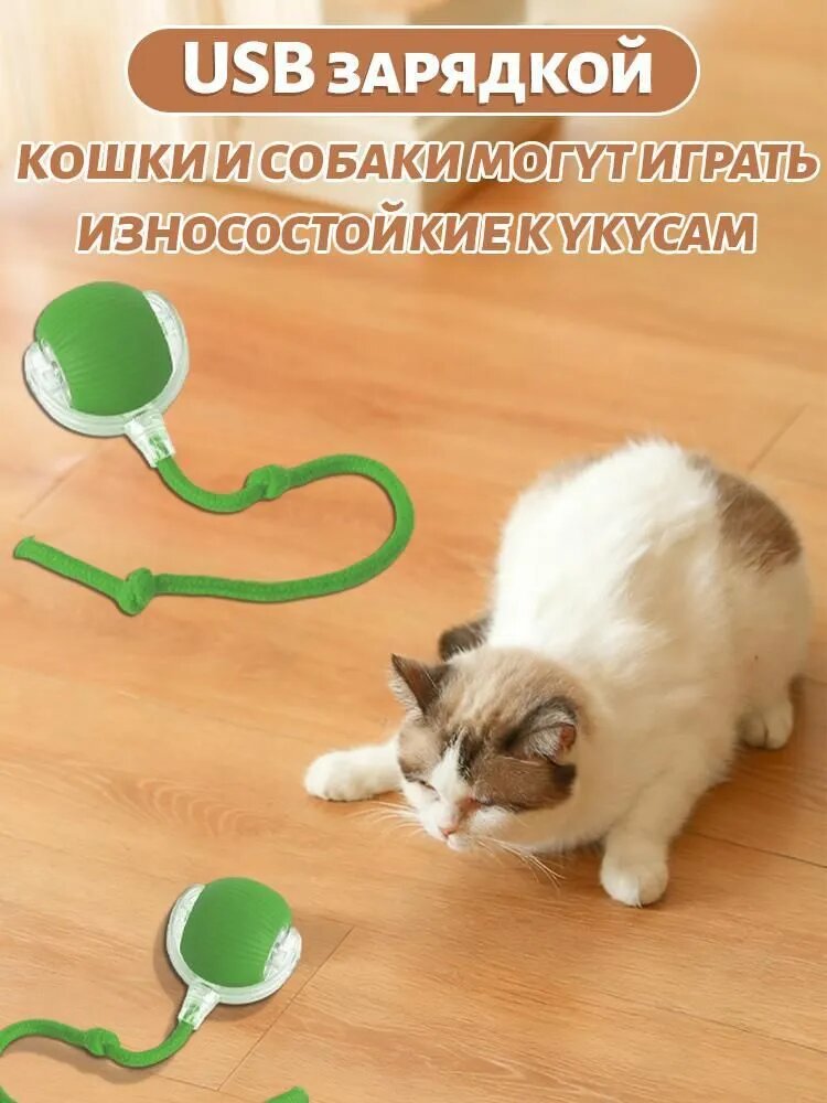 Электрические игрушки для домашних кошек