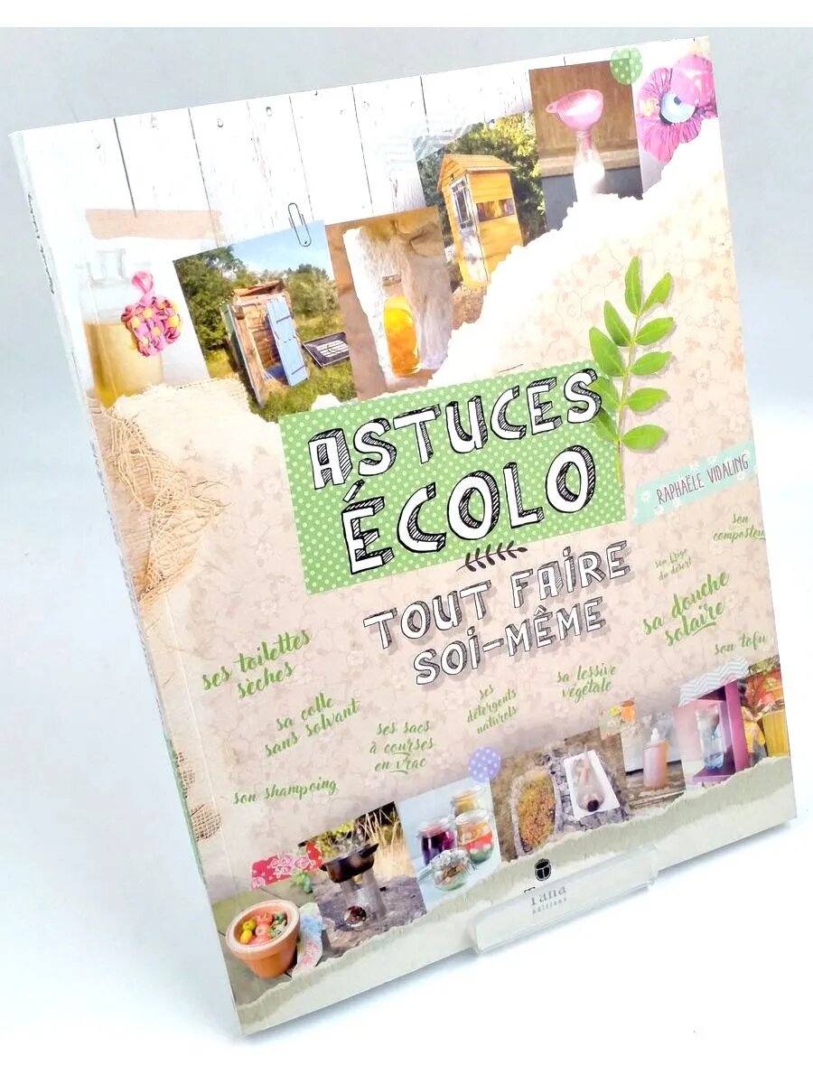 Astuces ecolo tout faire soi-meme сделай сам книга советов | Pocket Books