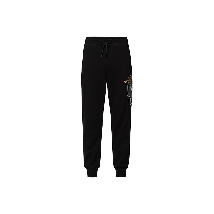 Брюки спортивные Evisu