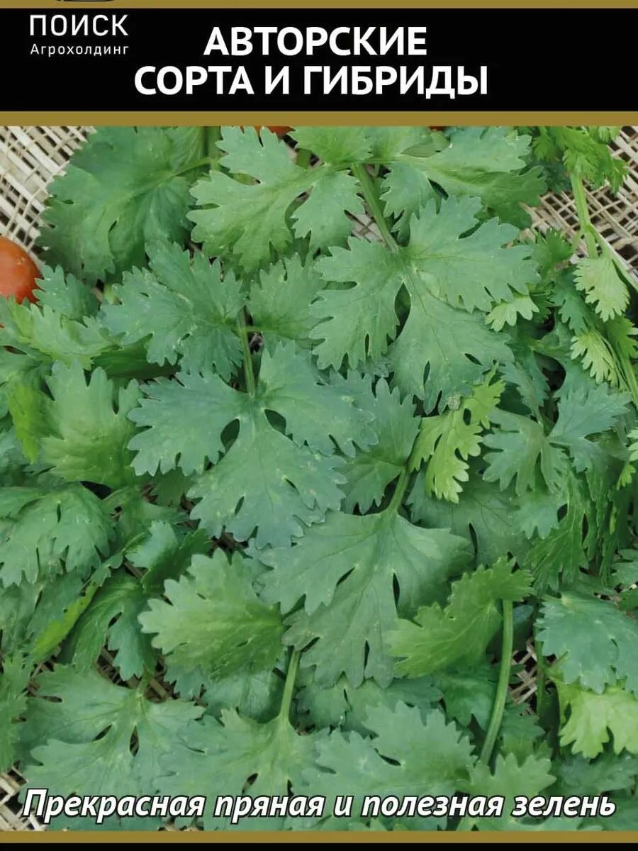 Кинза (Кориандр) Тайга 3 г, Семена Поиск