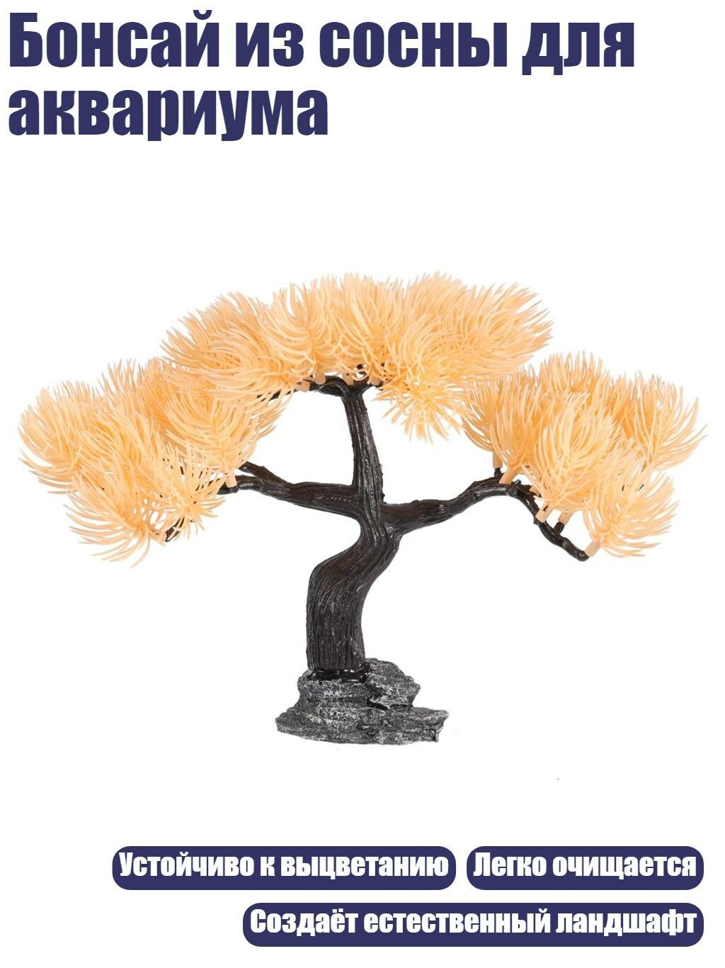 Бонсай из сосны для аквариума, Красота розового шампанского