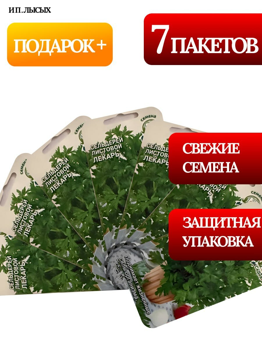 Семена Сельдерей "Лекарь"