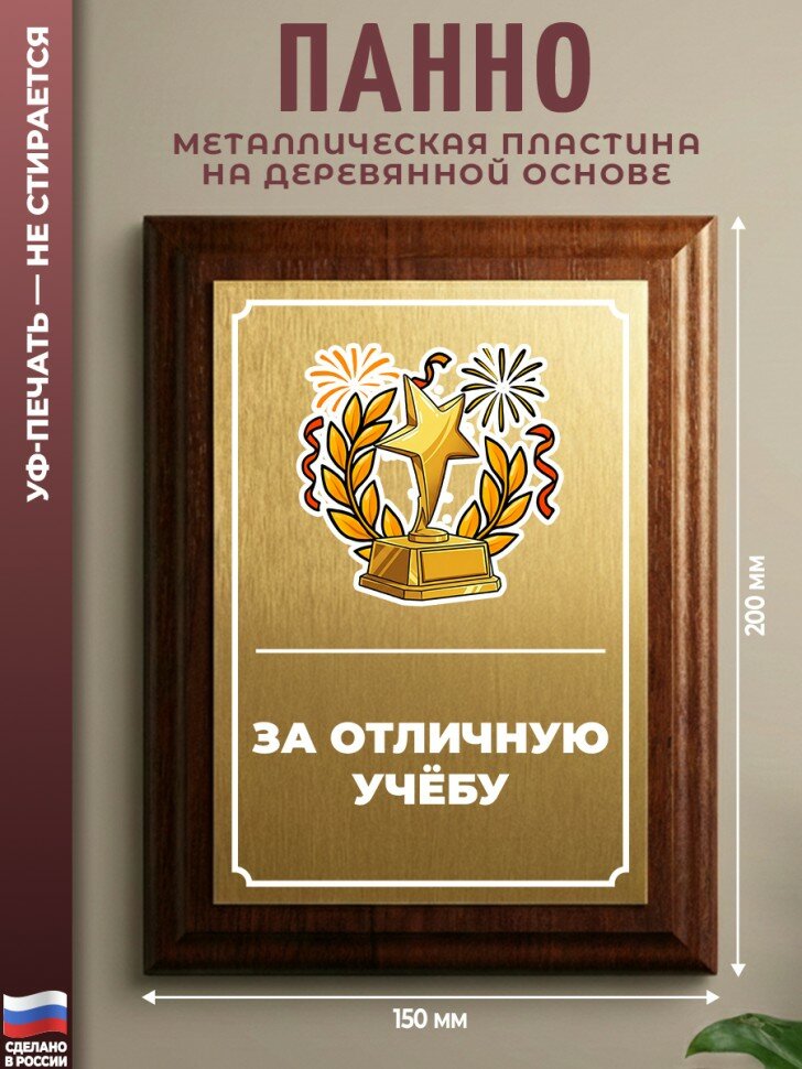 Настенный диплом "За отличную учёбу"