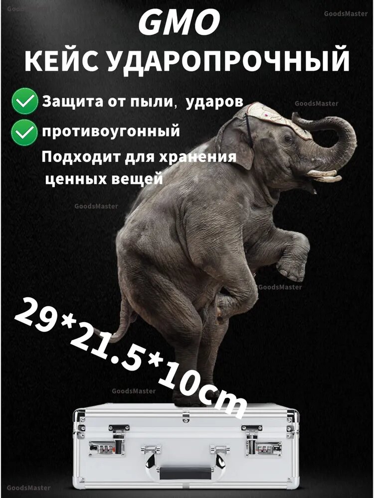 GMO Кейс ударопрочный металлический 29*21.5*10см для хранения ценных вещей