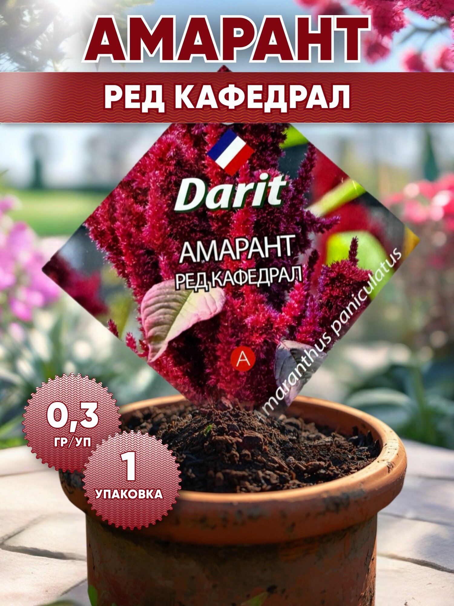 Семена Амарант Ред Кафедрал 0,3г/1уп, Darit