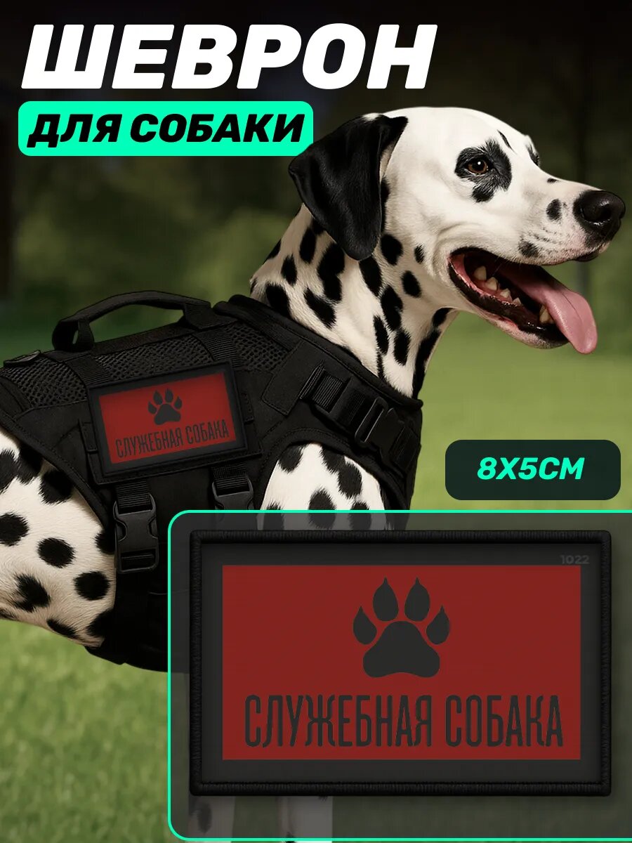 Шеврон на липучке для собак Служебная собака