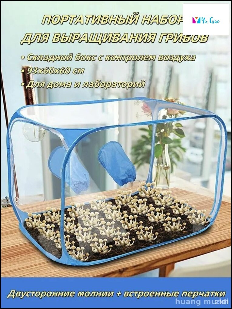 Набор для выращивания грибов W338, прозрачный бокс, складной, автономная атмосфера