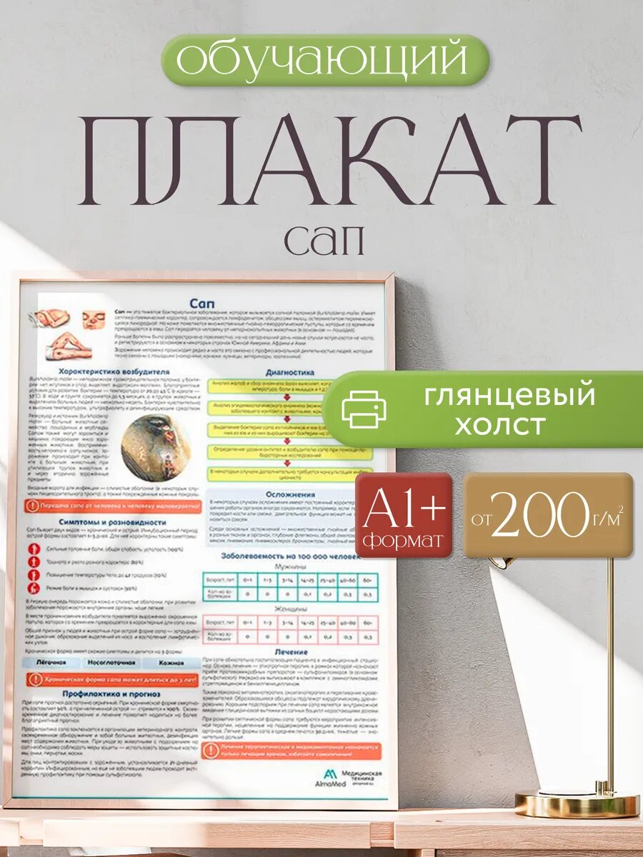 Сап медицинский плакат А1+, глянцевый холст от 200 г/кв. м