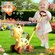 Игрушка-каталкаZSFDD1