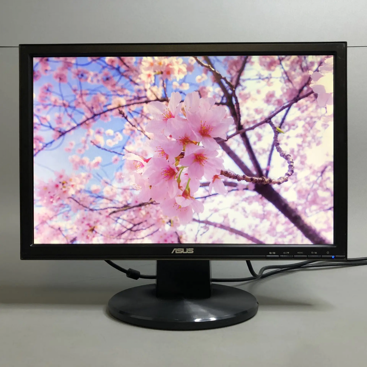 19" Монитор ASUS VW199TR, 1440x900, TN+film, черный