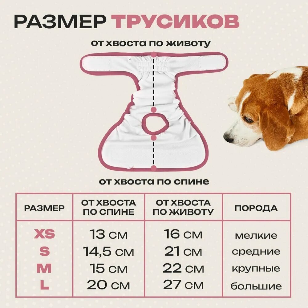 Подгузники для животных — фото 1