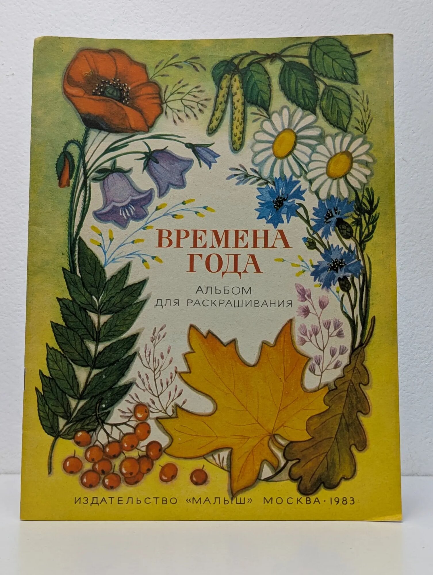 Времена года Пантелеев Георгий Николаевич 1983