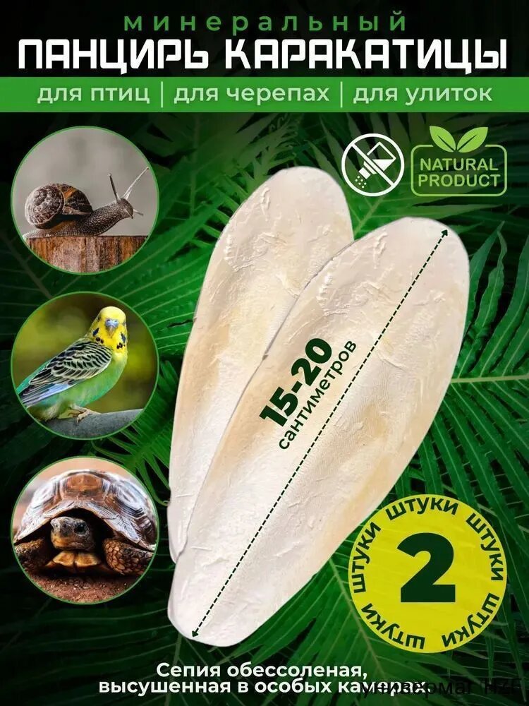 Сепия 2 шт- Панцирь каракатицы, 15-20см.