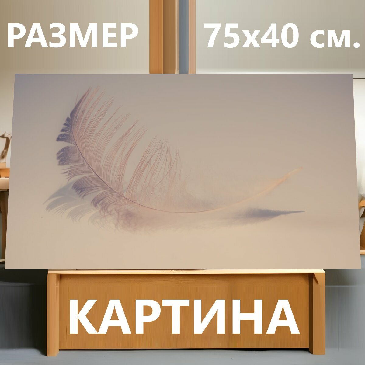Картина на холсте "Перо, мягкий, милая" на подрамнике 75х40 см. для интерьера