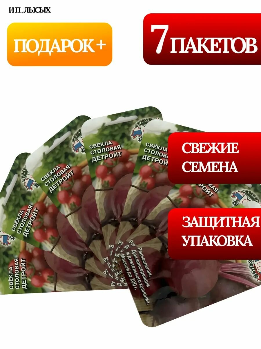Семена Свекла "Детройт"