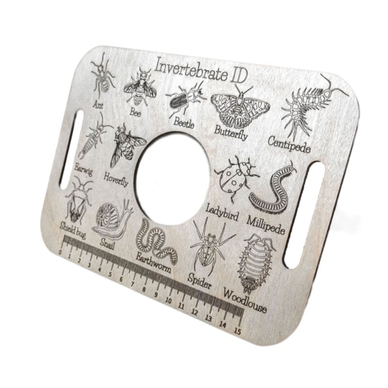 Энтомологическая Линейка для Рукоделия Деревянная Линейка с Энциклопедической Идентификацией Насекомых для Рисования, Измерения Приключений На свежем Воздухе