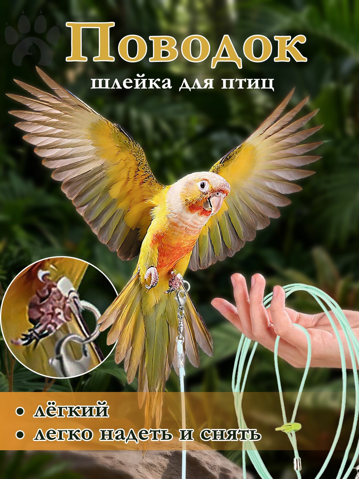 Шнур для попугая, Поводок для попугая,2/3M (на ножное кольцо)