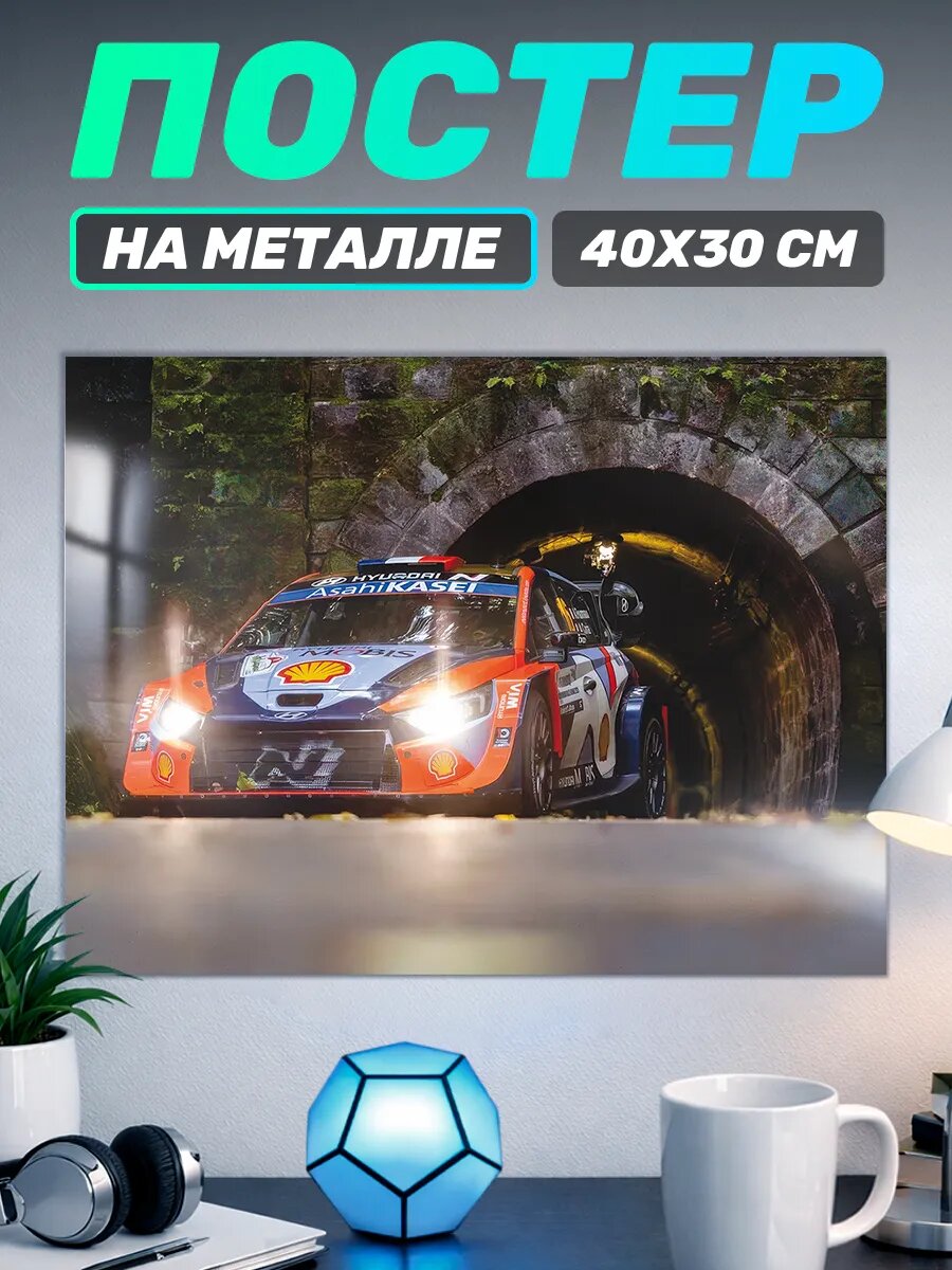 Картина на стену на металле Ралли