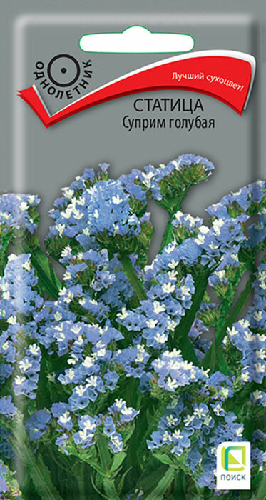 Семена Статица "Суприм Голубая" Однолетник Сухоцвет "Поиск"