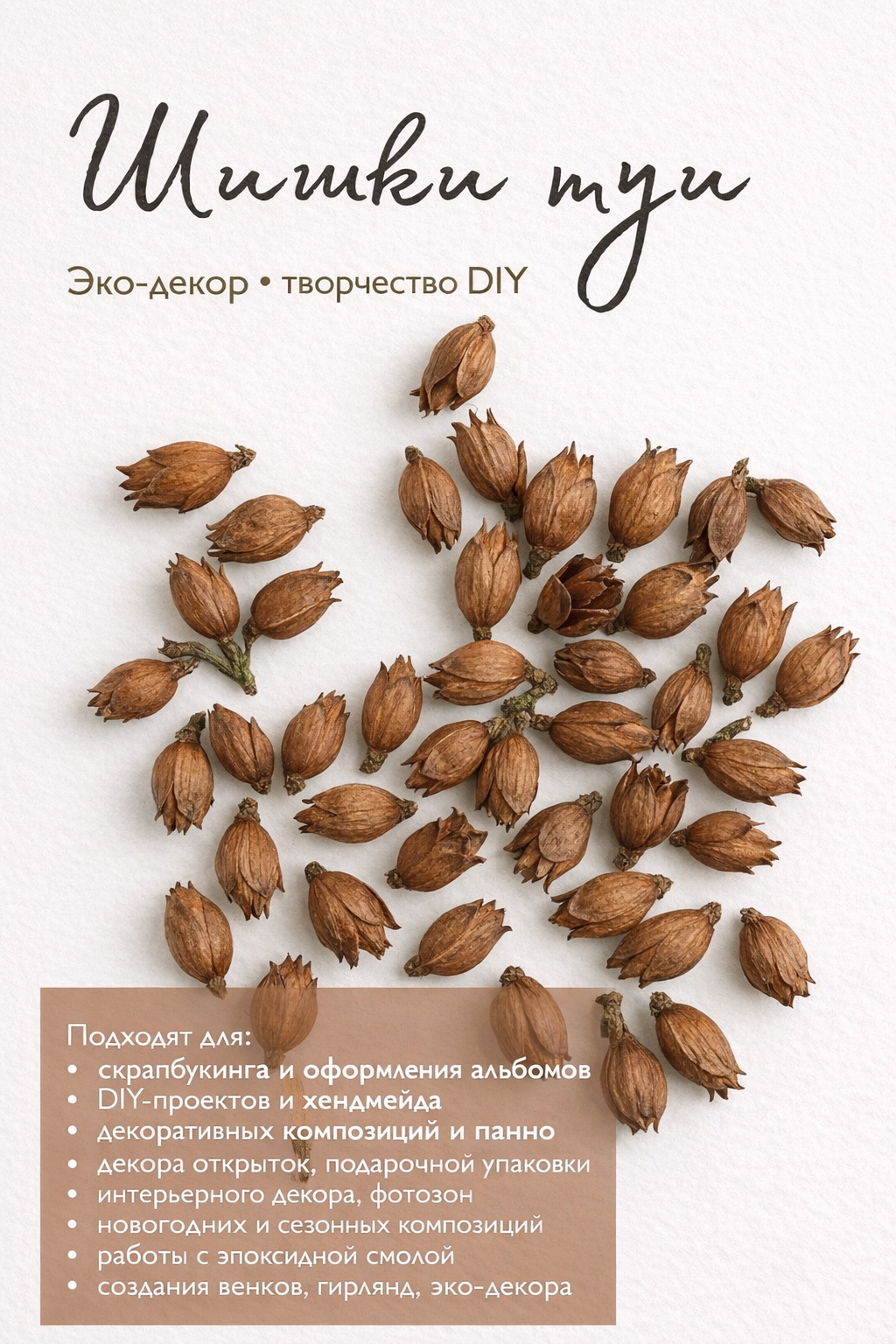 Шишки Туи для творчества и декора DIY заготовки для рукоделия