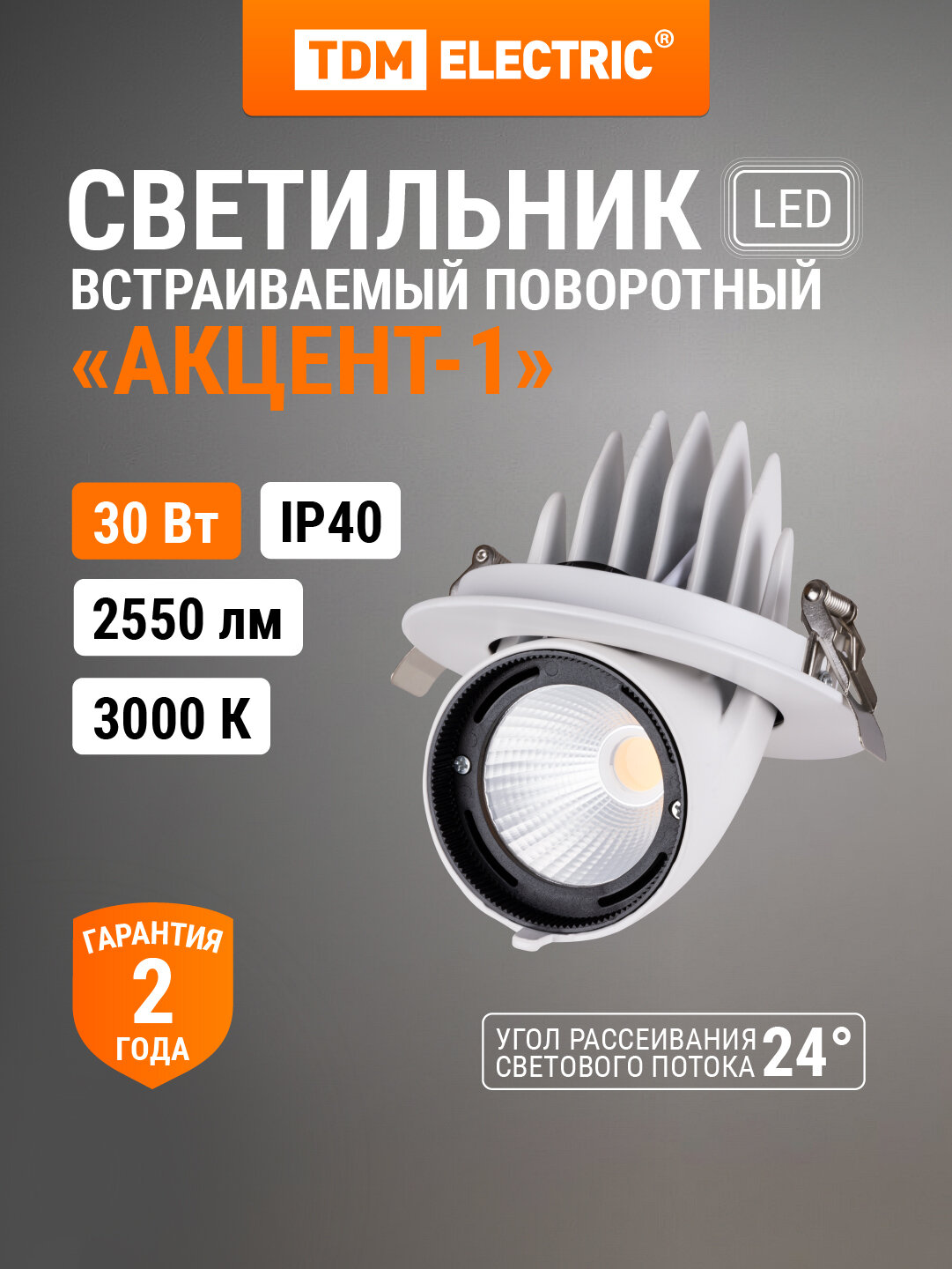 Светильник встраиваемый поворотный "Акцент-1" LED DSL-01-030-WW 30 Вт, 24°, 3000 К, 90 Ra, IP40, TDM