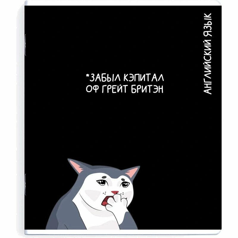 Тетрадь предметнaя английский язык'коты мемы'48л, А5+, кл, справ. инф/69828