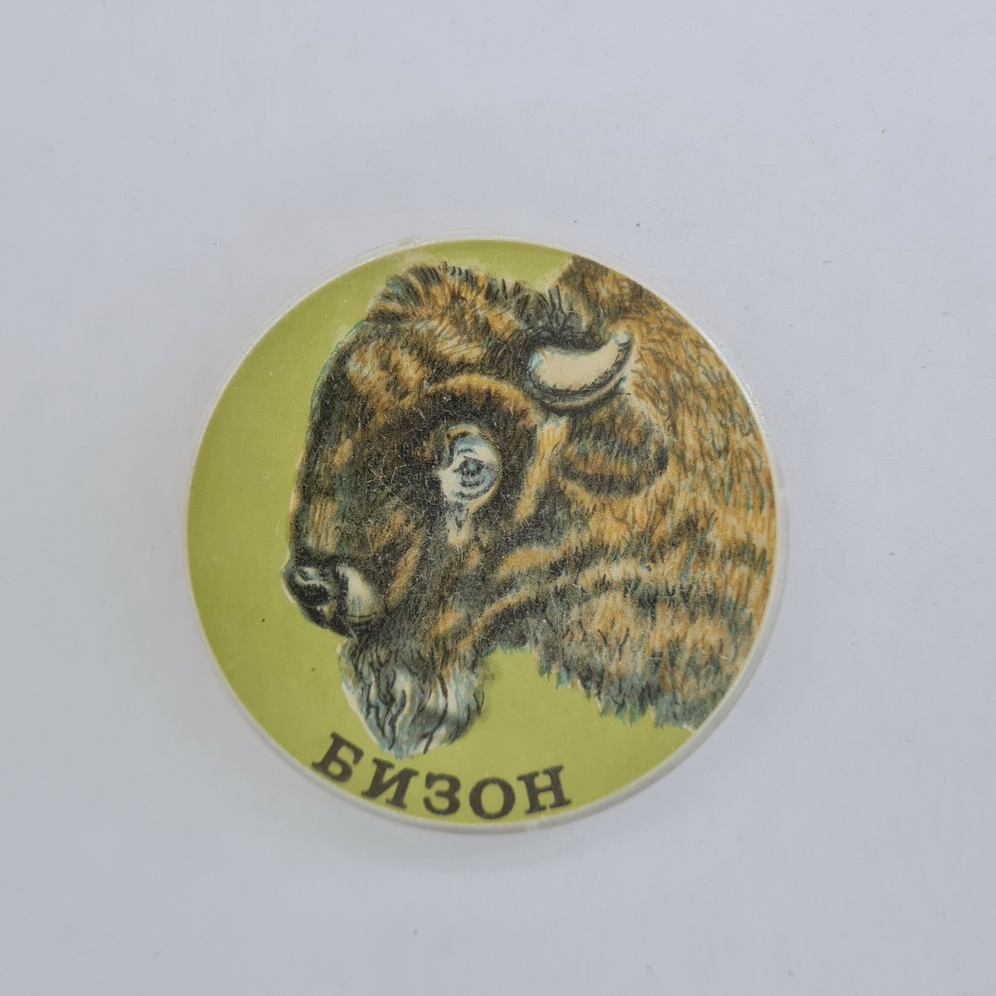 Значок СССР. Бизон, животное, фауна. Винтажный значек.
