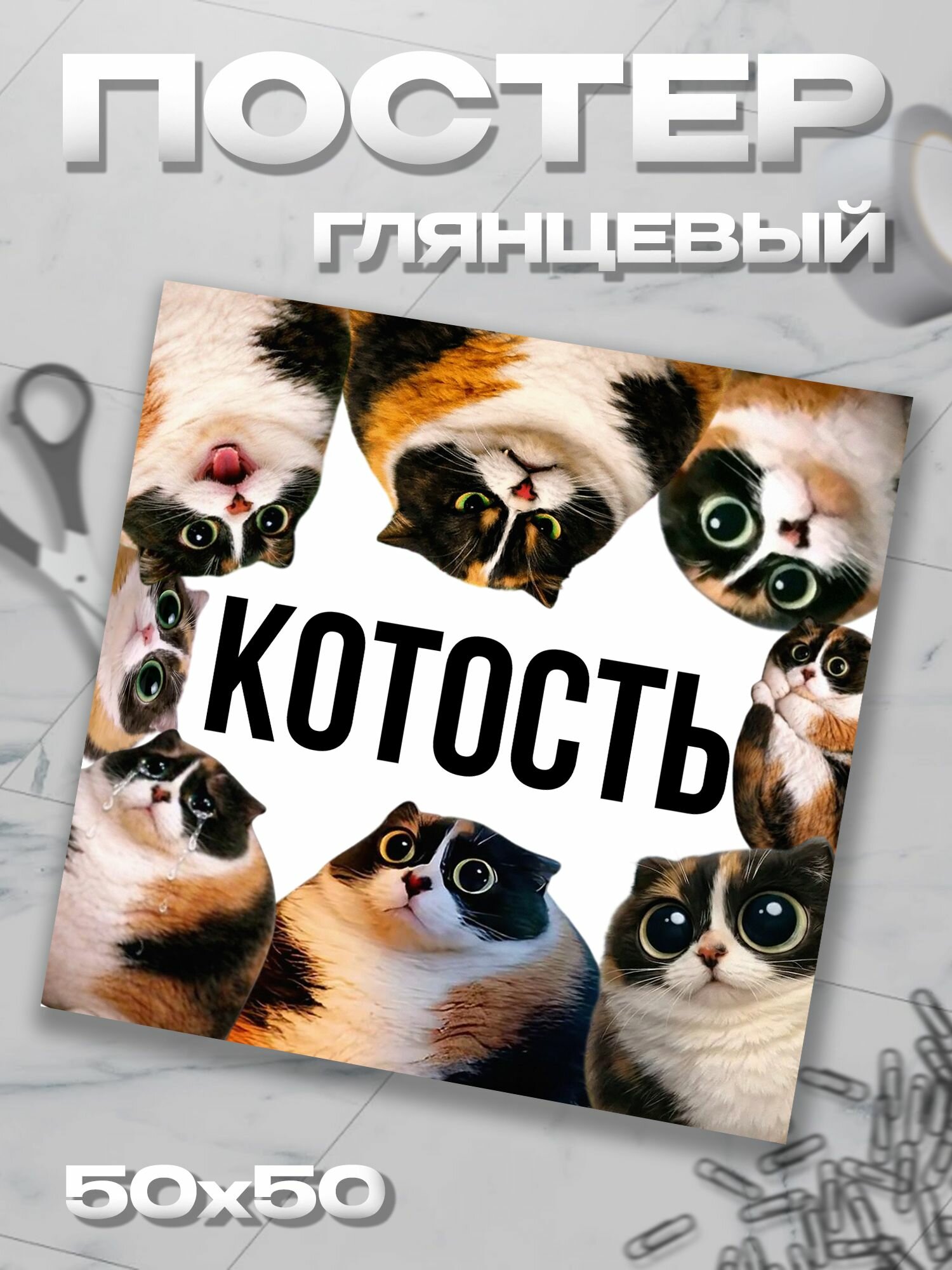 Плакат 50*50 Mellstroy Мелстрой котость постер