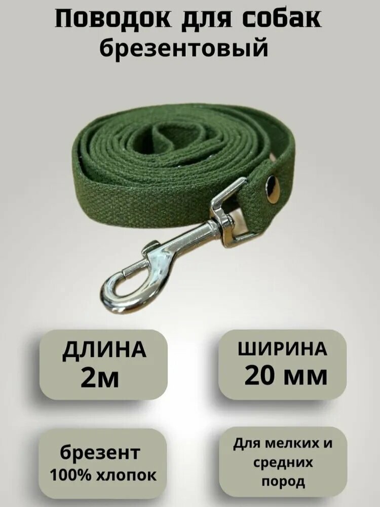 Поводок