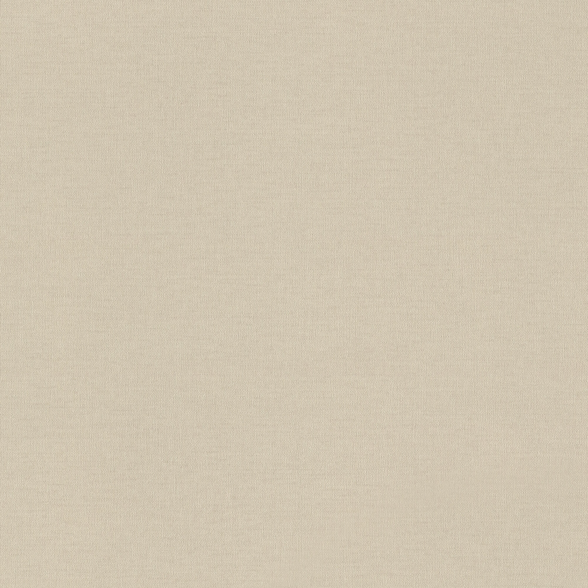Обои Rasch Настенные структуры 4 (Wall Textures XL 4) 971378 винил на флизелине, поверхность матовая, размер рулона 1,06х10,05, Германия