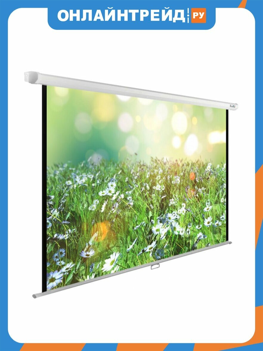 Экран Cactus 200x200см WallExpert CS-PSWE-200x200-WT 1:1 настенно-потолочный рулонный