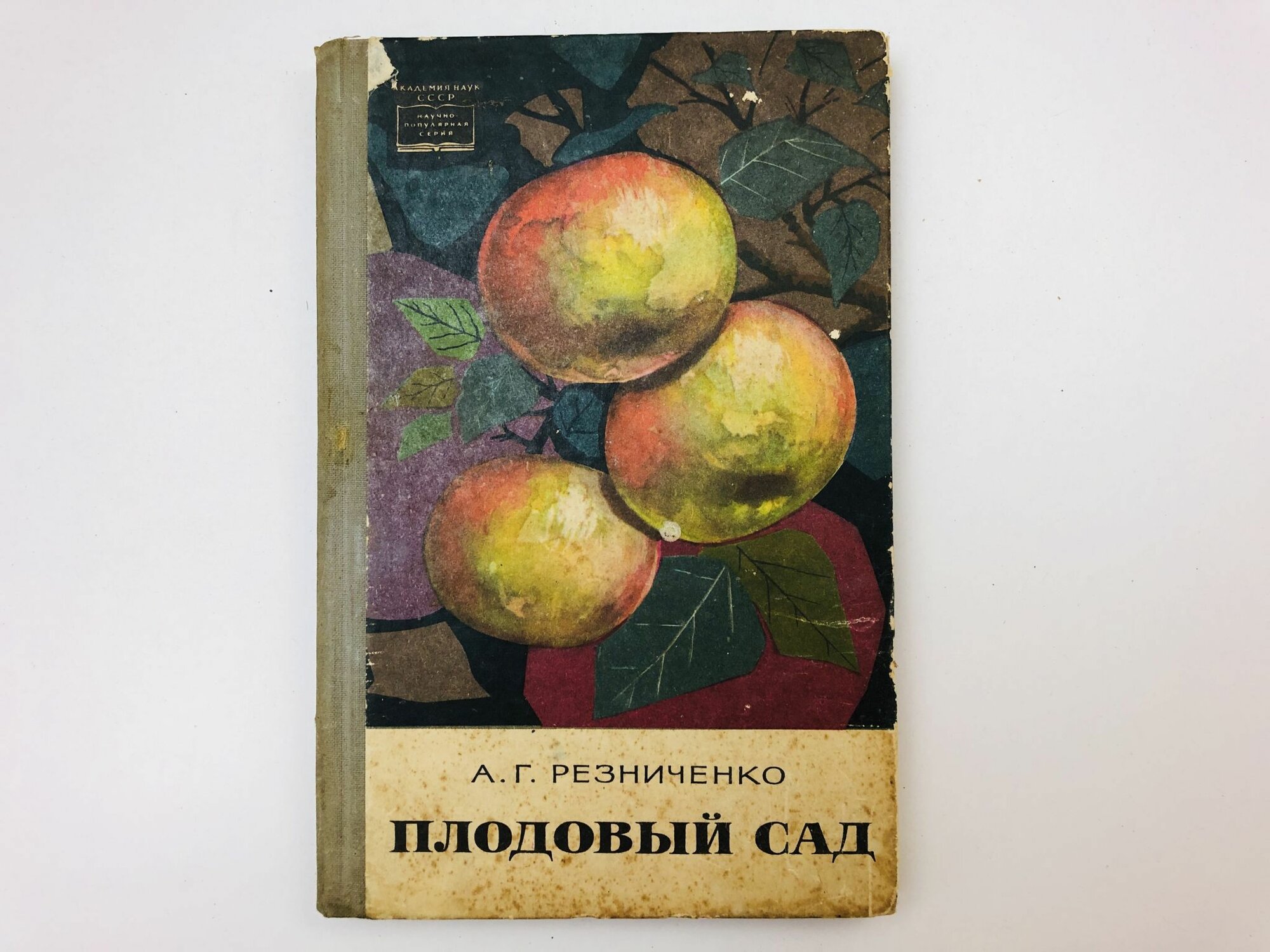 Плодовый сад. Строение, развитие и плодоношение растений