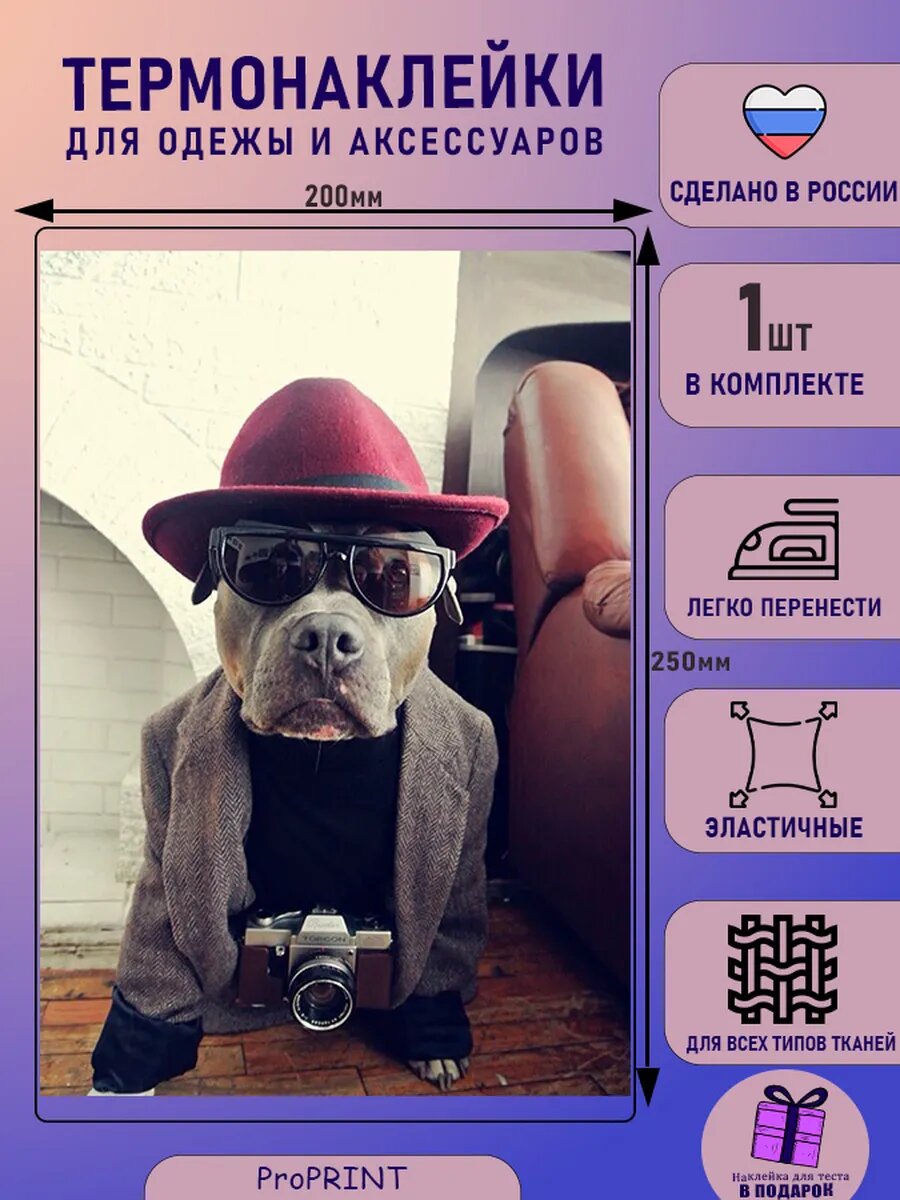 Термонаклейка на одежду взрослая