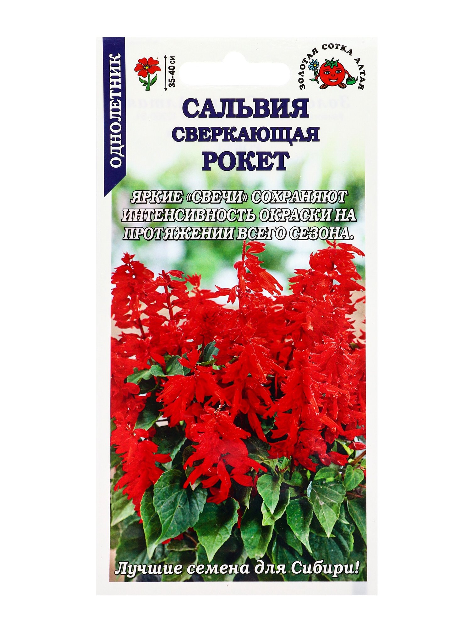 Сальвия «Рокет сверкающая красная», семена, 0.1 г, «Золотая Сотка Алтая»