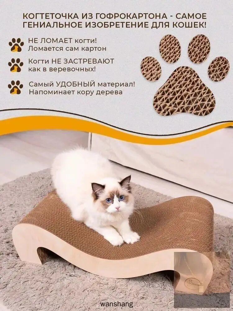 Когтеточка — фото 1