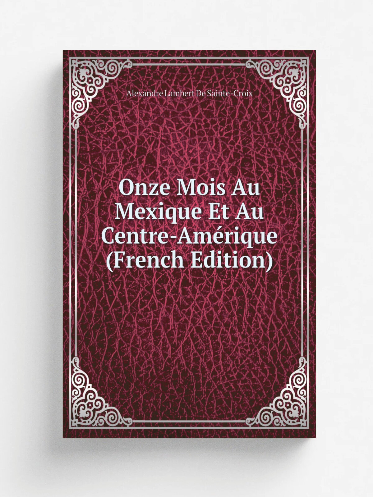 Onze Mois Au Mexique Et Au Centre-Am. rique (French Edition) | Alexandre Lambert De Sainte-Croix | Репринт