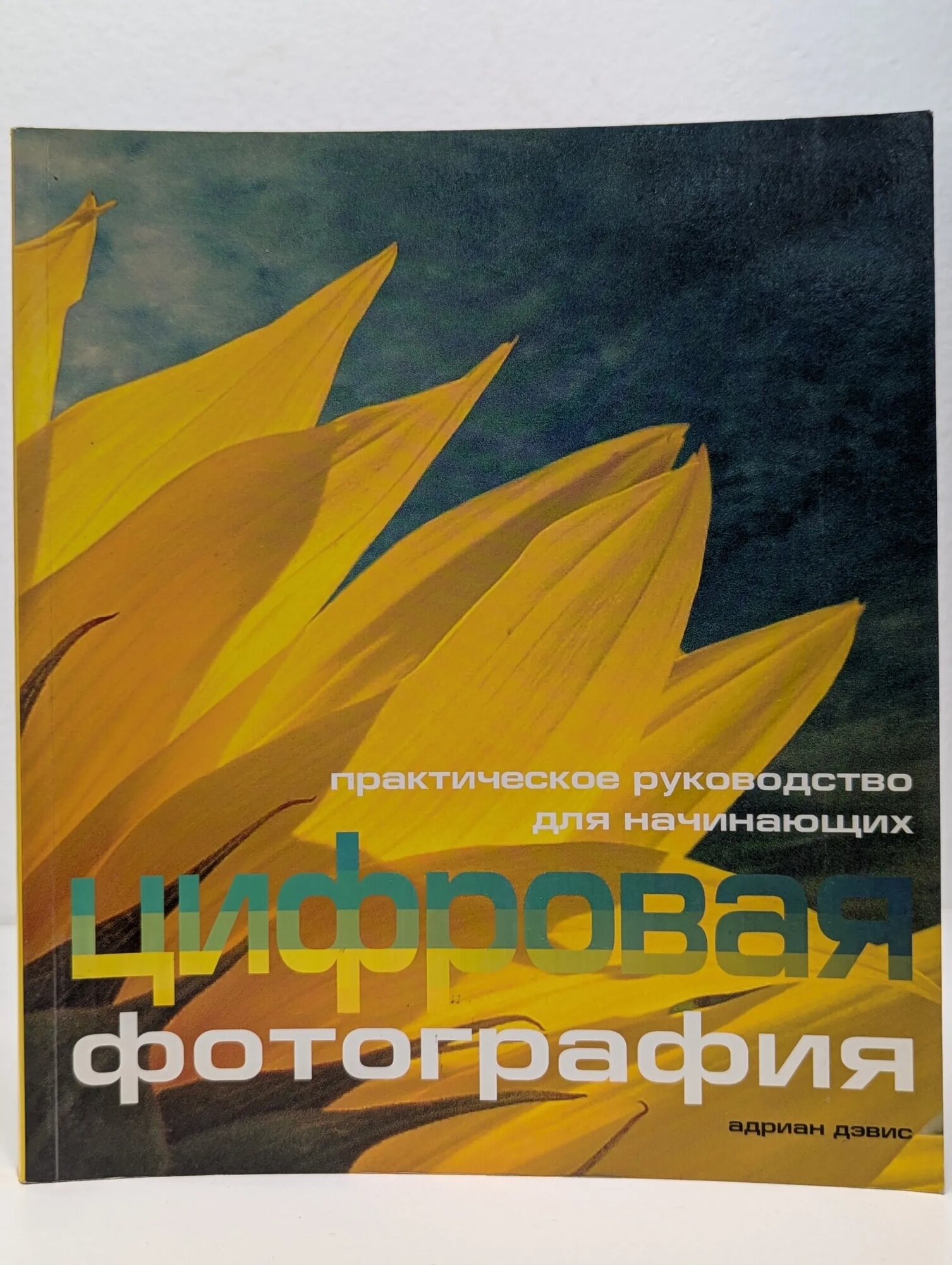 Цифровая фотография. Практическое руководство для начинающих Дэвис Адриан 2005