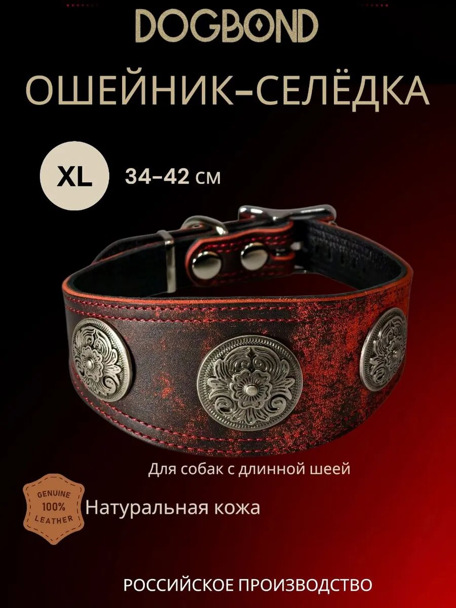 Ошейник-селедка Dogbond для грейхаундов и борзых собак