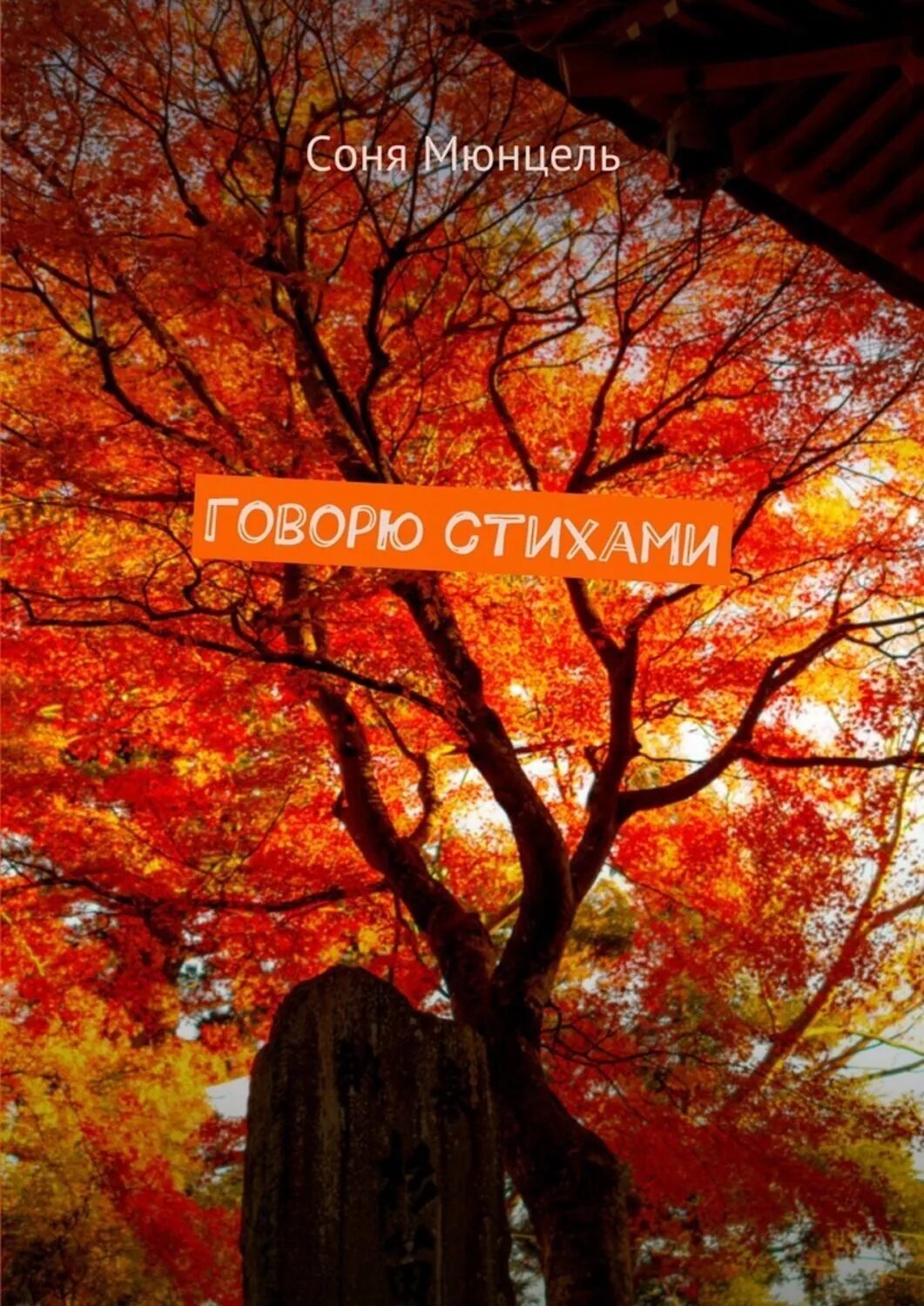 Говорю стихами [Цифровая книга]