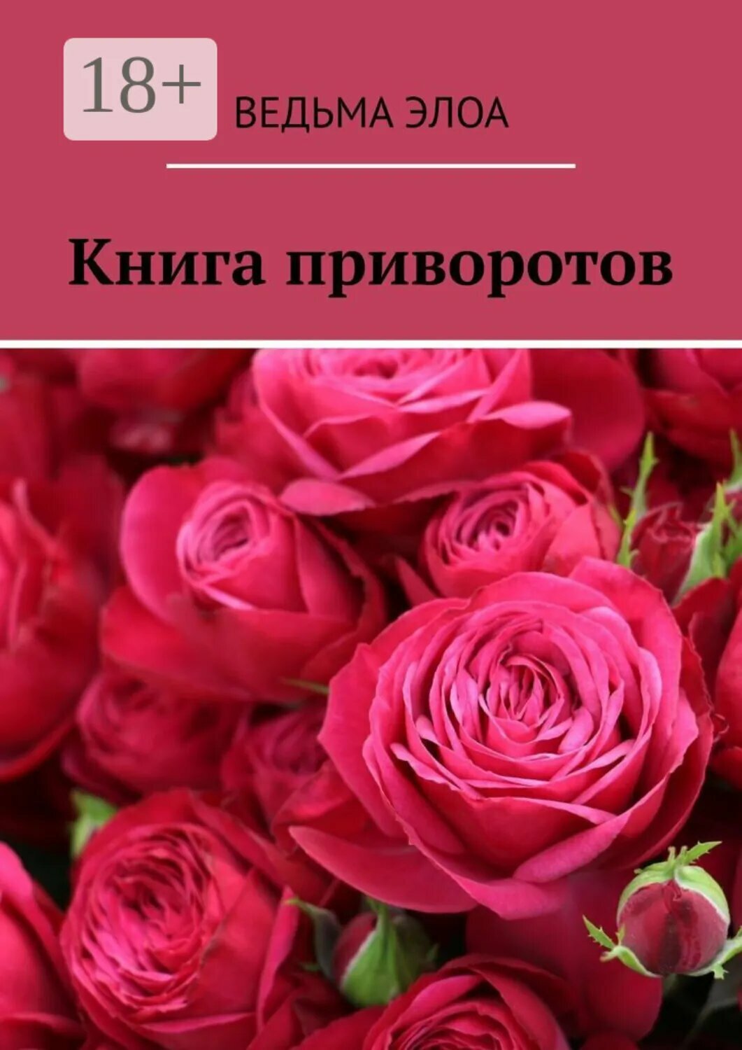 Книга приворотов [Цифровая книга]