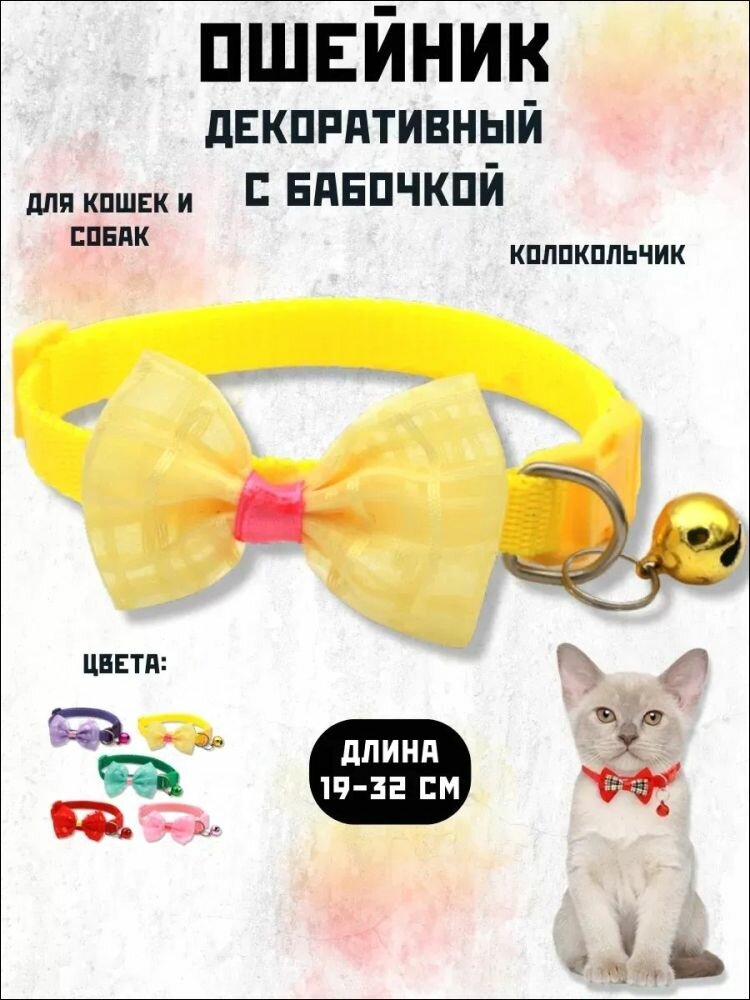 Декоративный ошейник для кошек и собак мелких с бабочкой