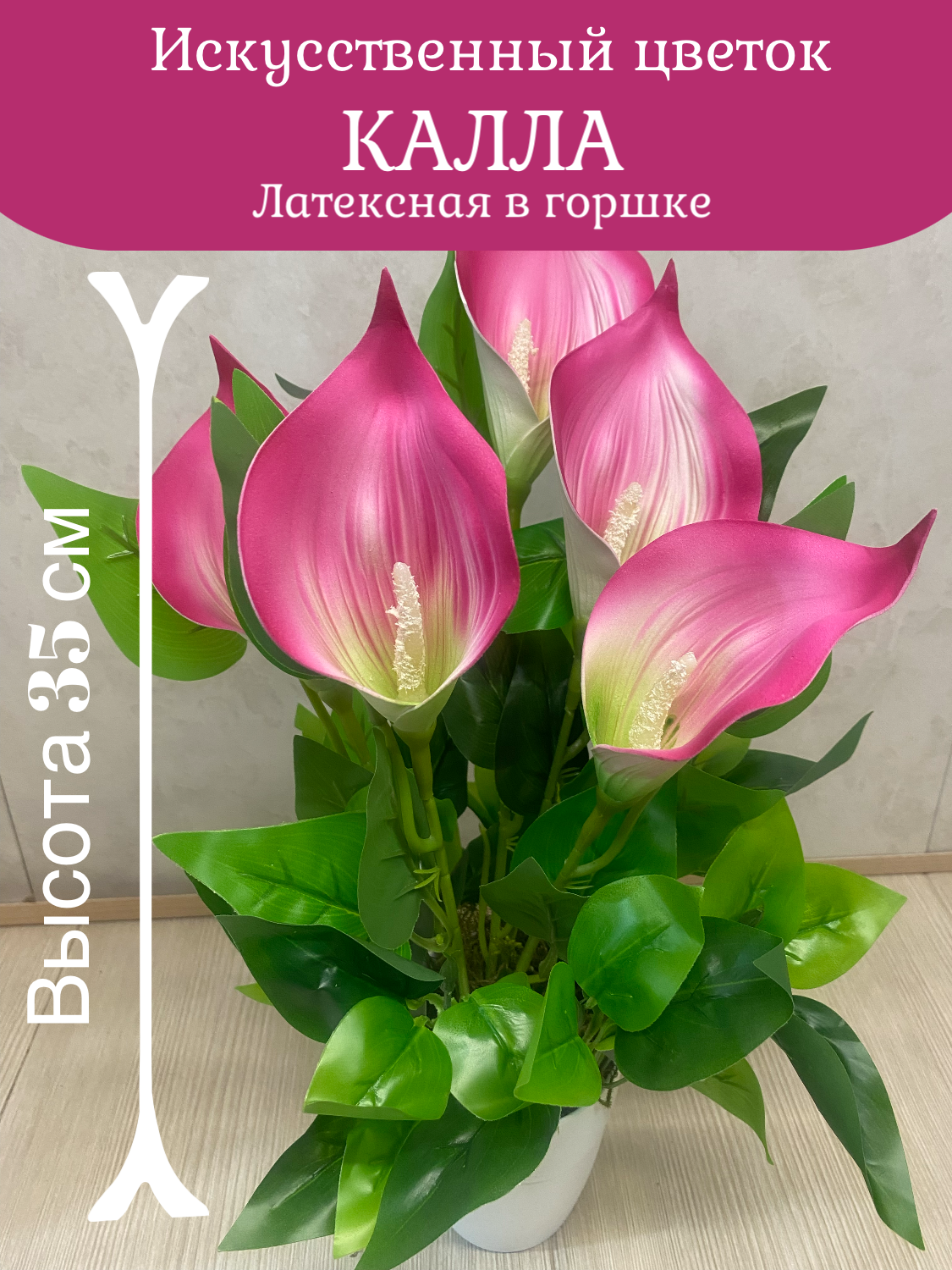 Калла в горшке №6 бордовая от "Лотос"