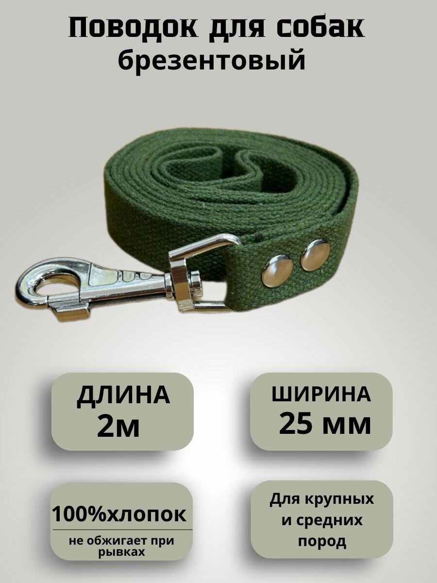 Поводок для собак брезентовый зеленый 2 м шириной 25 мм поводок для собак брезентовый поводок зеленый поводок