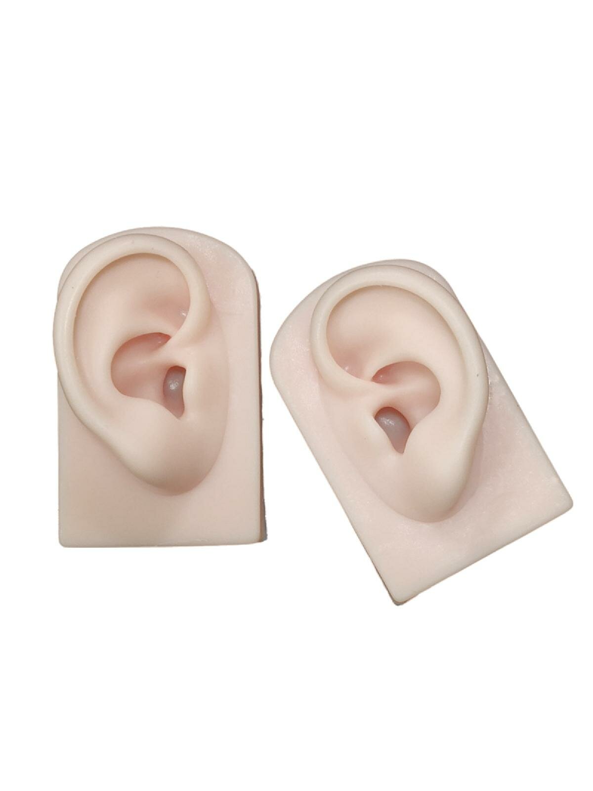 Модель искусственного левого и правого уха Силиконовый манекен для показа аксессуаров
